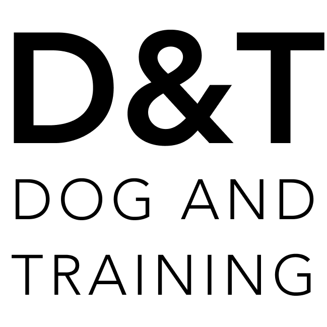 디앤티_Dog and Training