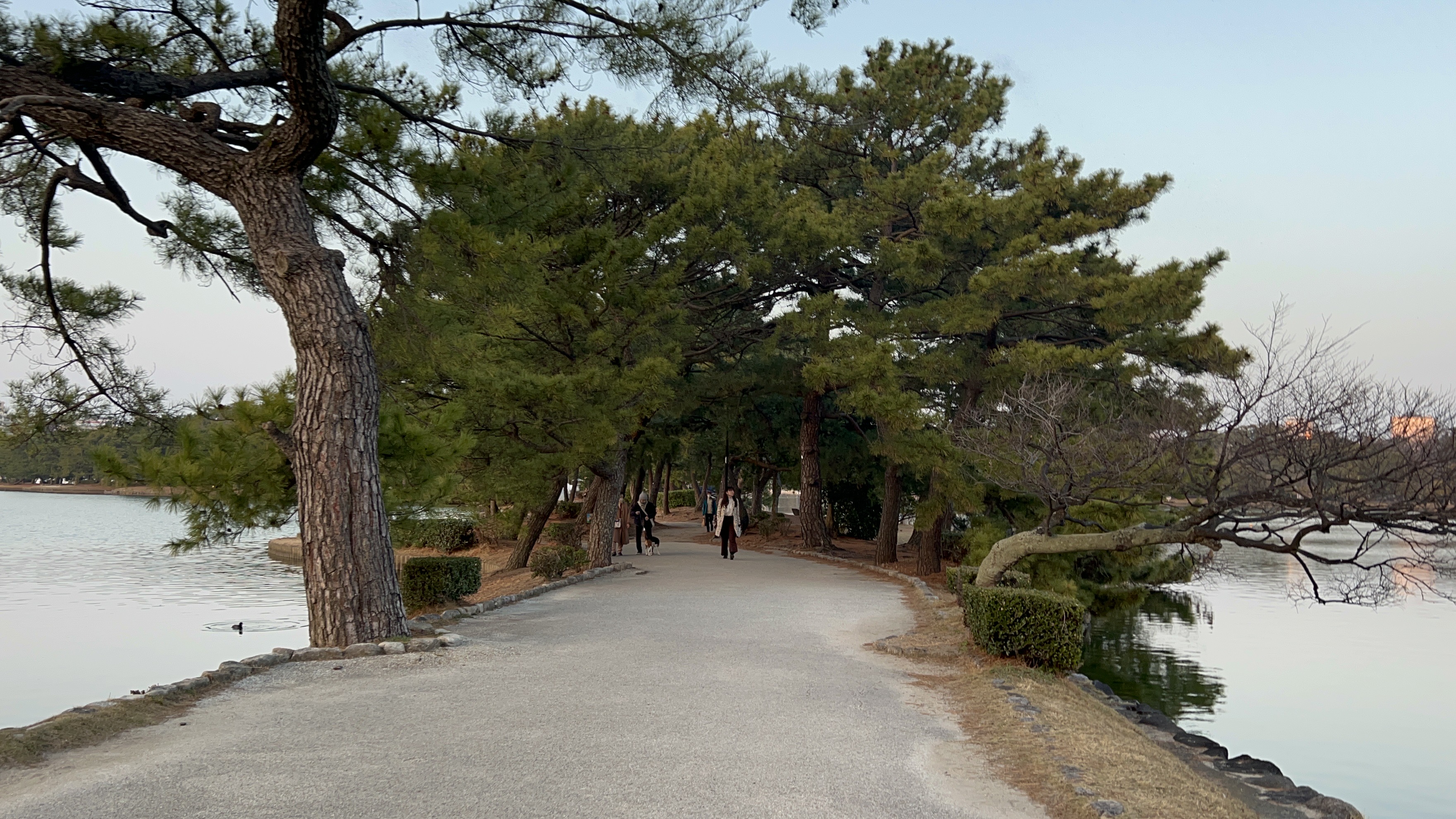 The second day in Fukuoka. | 스푸닝 OTT